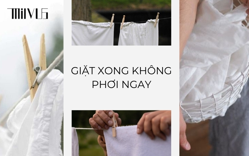 Chia Sẻ Cách Giặt Đồ Thơm Như Tiệm Tốt Nhất - Thời Trang Công Sở Cao ...
